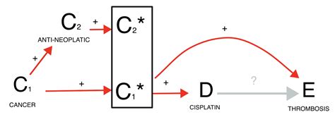 Causal Inference • Diana