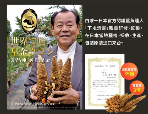 【晶璽】高單位薑黃錠 沖繩原裝進口 提高體力 35倍四氫薑黃素 春薑黃 秋薑黃 紅薑黃御薑君600錠盒 蝦皮購物