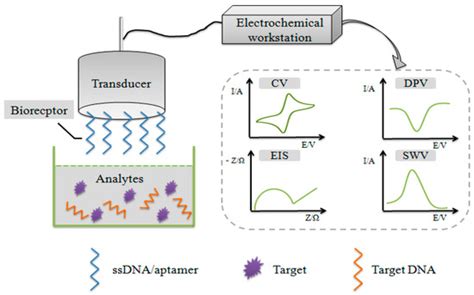 Sensors Special Issue Advanced Biosensors For Bacterial Detection