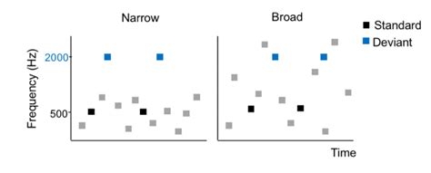 Stochastic Oddball Paradigm Participants Listened To A Stream Of 500ms