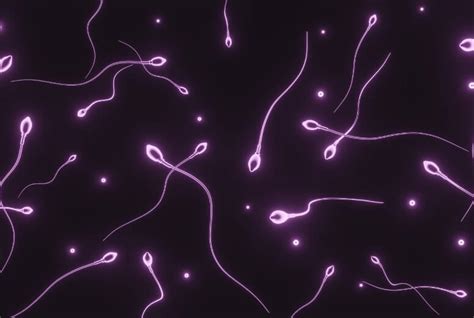 Boosting Male Fertility Tips For Sperm Health And Wellness