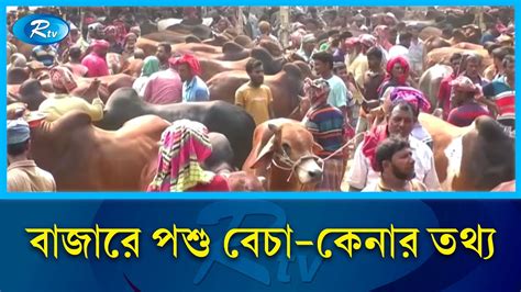 বাজারে পশু বেচা কেনার বিষয়ে জানাতে চুয়াডাঙ্গার নাটোদা পশুর হাট থেকে সরাসরি Chuadanga Rtv