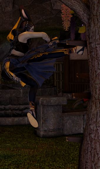 Monk Training Eorzea Collection