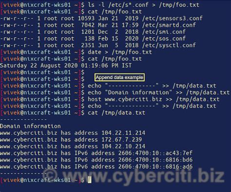 how to write the output into the file in linux