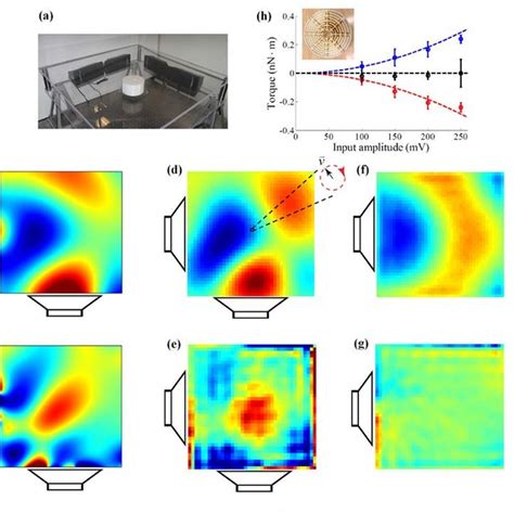 Spin Momentum Locking In Acoustics A Schematic Of Local Particle Download Scientific Diagram