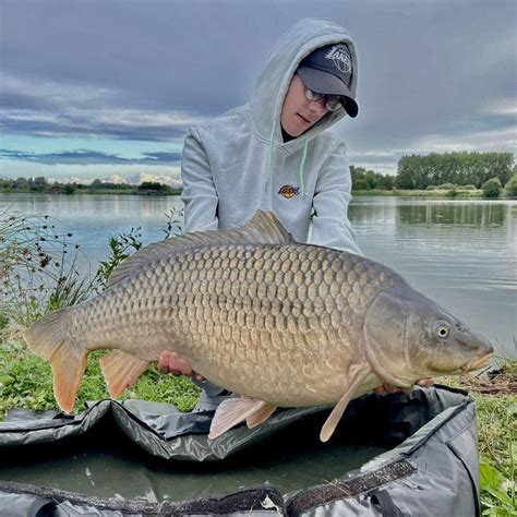 tms p a 𝑃 𝐴 TikTok