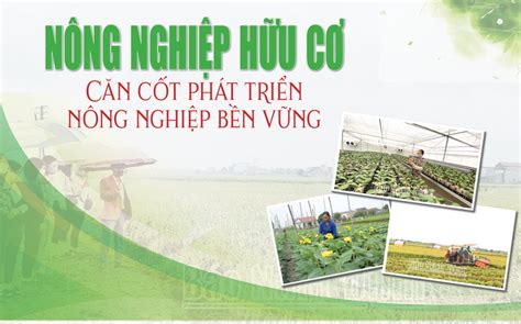 TriỂn VỌng CỦa NgÀnh NÔng NghiỆp HỮu CƠ TẠi ViỆt Nam