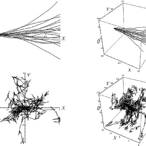 The Orientation Columns In The Primary Visual Cortex Download Scientific Diagram
