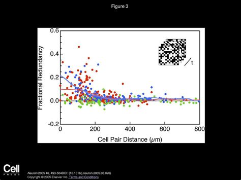 Redundancy In The Population Code Of The Retina Ppt Download