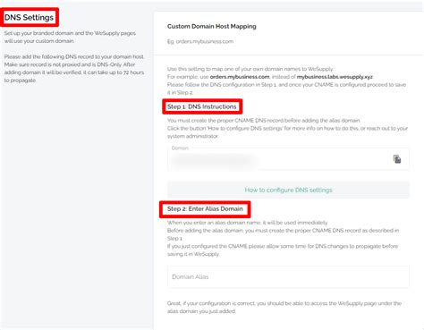 How To Set Up A Custom Domain Cname Domain Alias Wesupply Labs