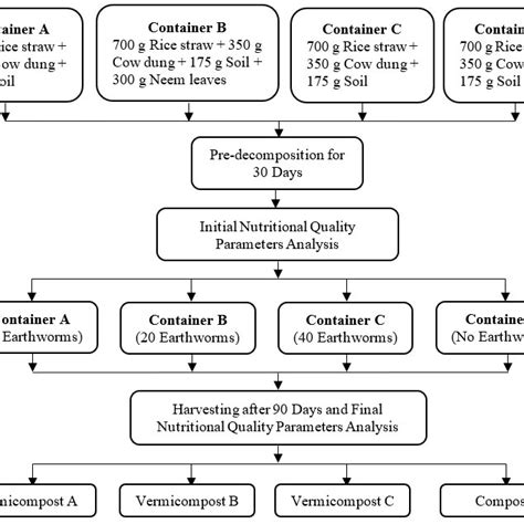 Vermicomposting Experimental Setup Download Scientific Diagram