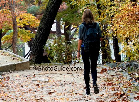 모르는 사람 꿈해몽 모르는 사람이 죽는 꿈 모르는 사람과 싸우는 꿈 모르는 사람과 관계 하는 꿈 모르는 사람이 집에 들어오는 꿈