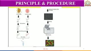 Principles Underlying Microarray Technology Explores The Various Types Of Microarrays And