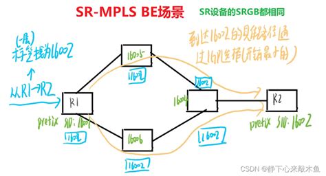 广域网技术——sr Mpls技术基础理论讲解 Csdn博客 广域网技术——sr Mpls技术基础理论讲解 Csdn博客