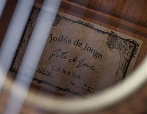 Joshia De Jonge Guitars Jedistar