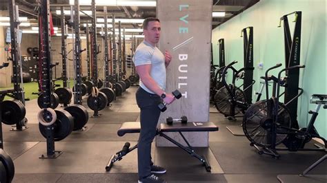 Bicep Curl Proper Technique Youtube