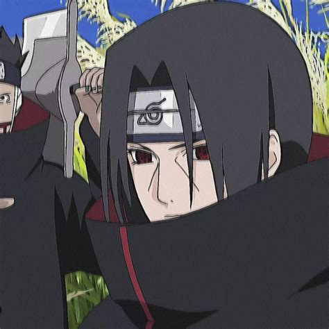 鼬 高清图片，堆糖，美图壁纸兴趣社区