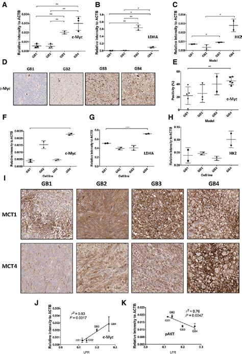 Figure 3 From Metabolic Imaging Detects Low Levels Of Glycolytic Activity That Vary With Levels