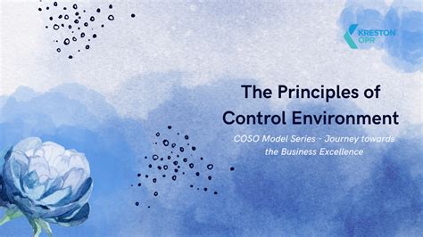 Control Environment The Foundation Coso Model