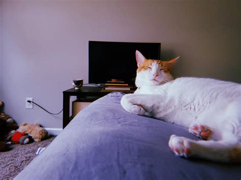 Good Thing He Woke Me Up Just To Go Back To Sleep Himself R Curledfeetsies