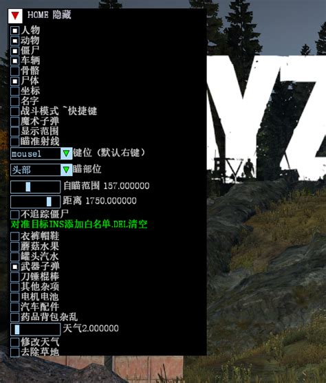 内部 Dayz 魔术子弹 天卡 游戏辅助