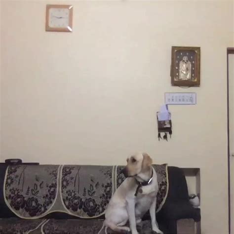 Sayali Bhosale Posted On Linkedin