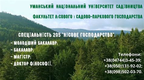 Обирайте факультет лісового і садово паркового господарства Уманського