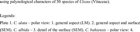 Cumulative Variance And Vector Values Of Principal Component Analysis