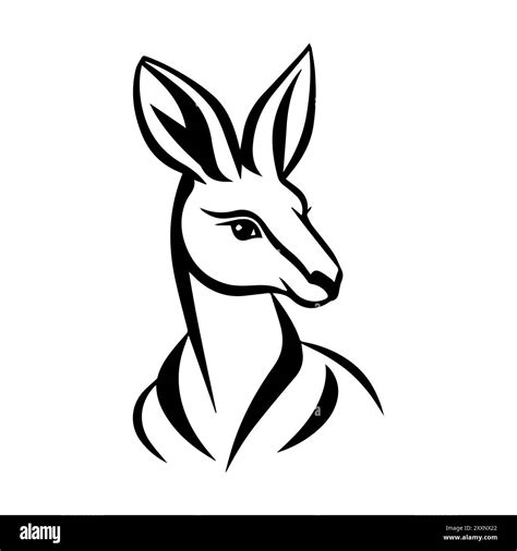 Kangaroo Icon Or Modern Line Symbol Vector Line Art And Icon Design