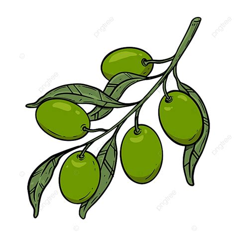 تصوير، بسبب، غصن شجرة الزيتون، ب، الزيتون الزراعة نباتي مسحوب Png