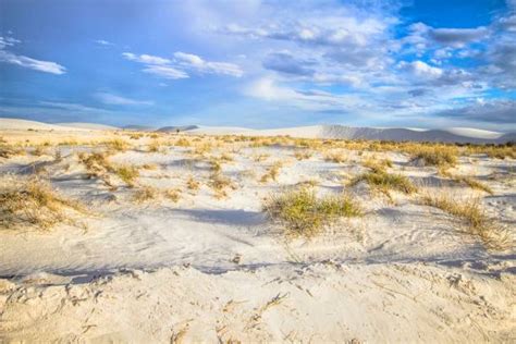 Hơn 1000 Tularosa Basin ảnh Hình Chụp And Hình ảnh Trả Phí Bản Quyền