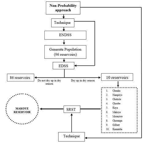 Sampling Framework Applied In The Study Download Scientific Diagram