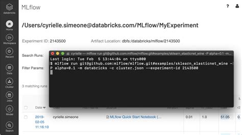 Managed Mlflow Databricks