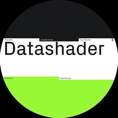 Datashader Digital Entropy Music And Performance Vinyl