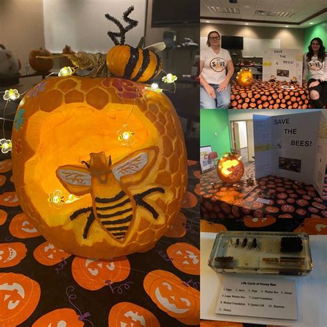 vivek vicky posted on linkedin