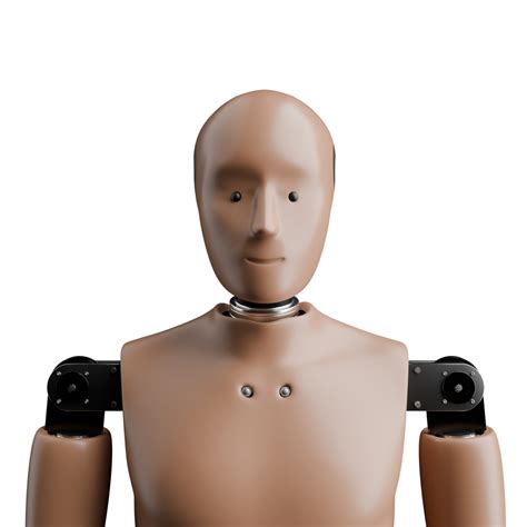Crash Test Male Dummy 3d Model Turbosquid 2159635
