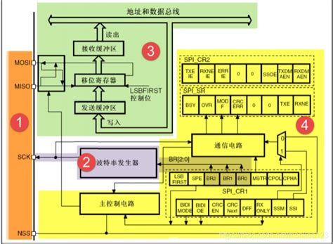 Stm32 的 Spi 特性及架构stm32f103 Spi1和spi2的区别 Csdn博客