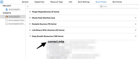 Ios Application Crashing When I Try To Play Audio File Using Swift Stack Overflow
