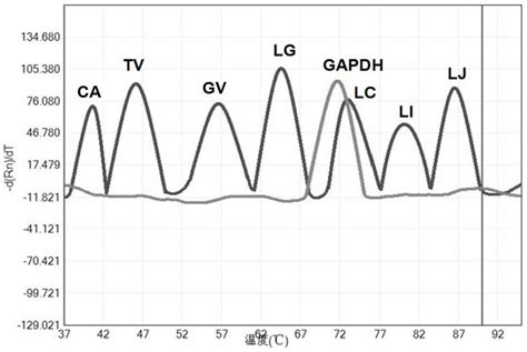 Primer Probe Combination And Kit For Vagina Micro Ecology Detection Eureka Patsnap