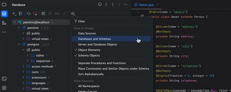 Work With Any Database Right In The Ide