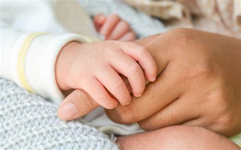 Example Surrogacy Contract Templates Protect Your Rights