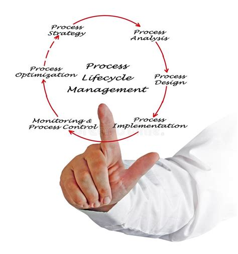 Process Lifecycle Management Stock Photo Image Of Analysis Expert 85646932