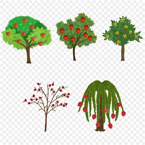 여지 비파 화 룡 과 과일 나무 일러스트 조합 복숭아나무 비파 나무 드래곤 과일 나무 Png 일러스트 및 Psd 이미지 무료 다운로드 Pngtree