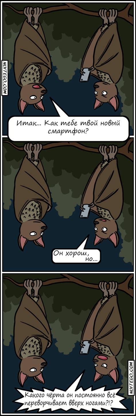 Летучие мыши — гики Пикабу