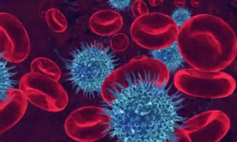 Cefiderocol Safe And Effective Option For Mdr Infections Lancet Cefiderocol Safe And Effective Option For Mdr Infections Lancet