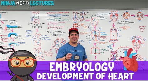 Ninja Nerd Development Of The Heart ️ Live Premiere On Jan 25th At 10 Am Est One More Day