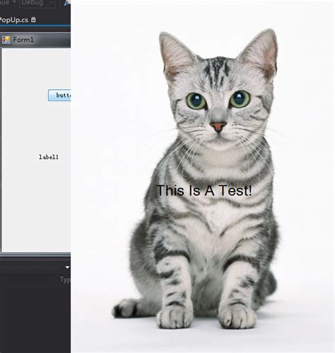 Custom Popup Fade In Window In Cwinformnet Codeproject