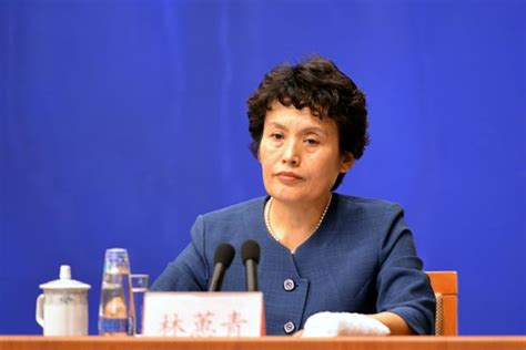 教育部部长助理林蕙青 教育部部长陈宝 随意云