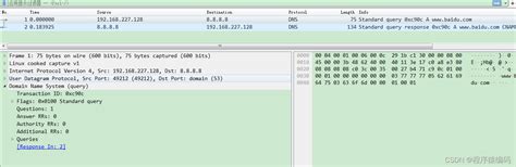 Linux下cc实现dns查询（dns Query）cdns Csdn博客